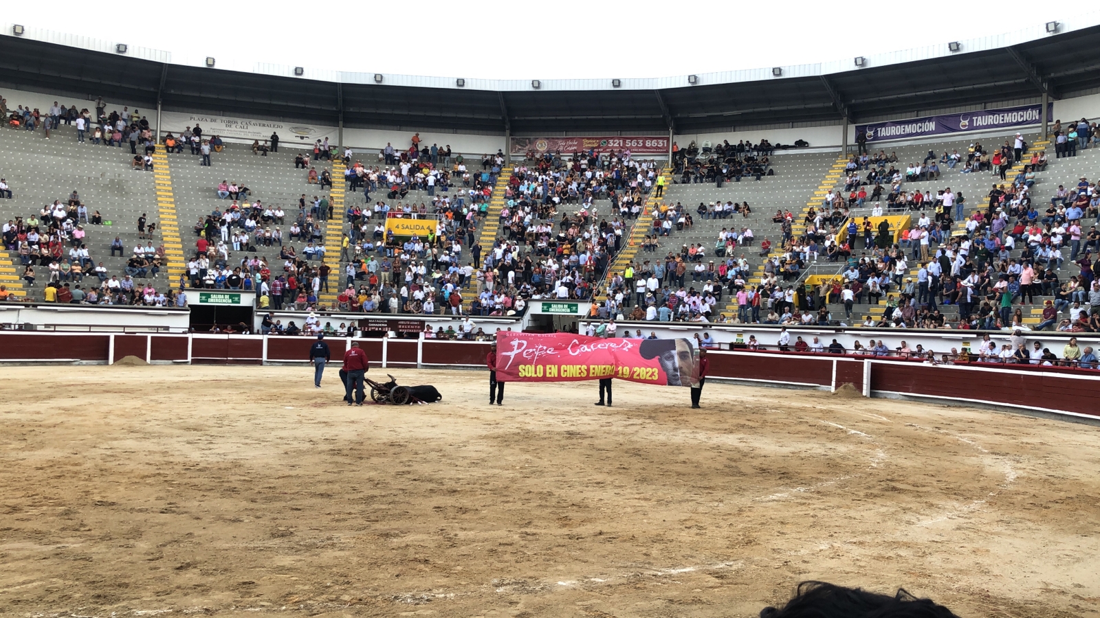«PEPE CACERES» LA VIDA DEL MITICO TORERO TOLIMENSE EN LA PANTALLA GRANDE