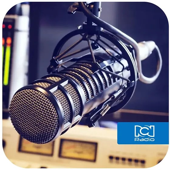 ¿QUIEN LE CONTARÁ AL JEFE? PÁNICO EN NOTICIAS R.C.N RADIO CON EL ECAR ...